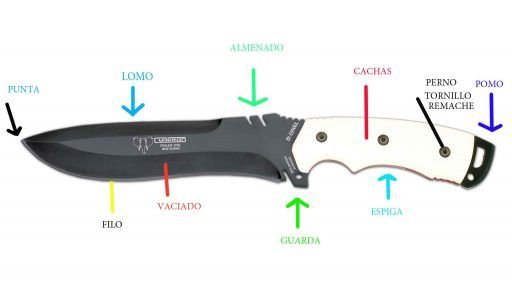 Partes de un Cuchillo ☑ Tipos de Puntas Mangos ® Filos y Fundas